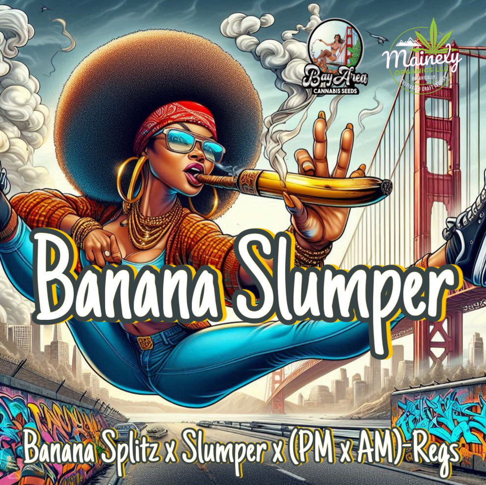 Banana Slumper 🍌 – BCS