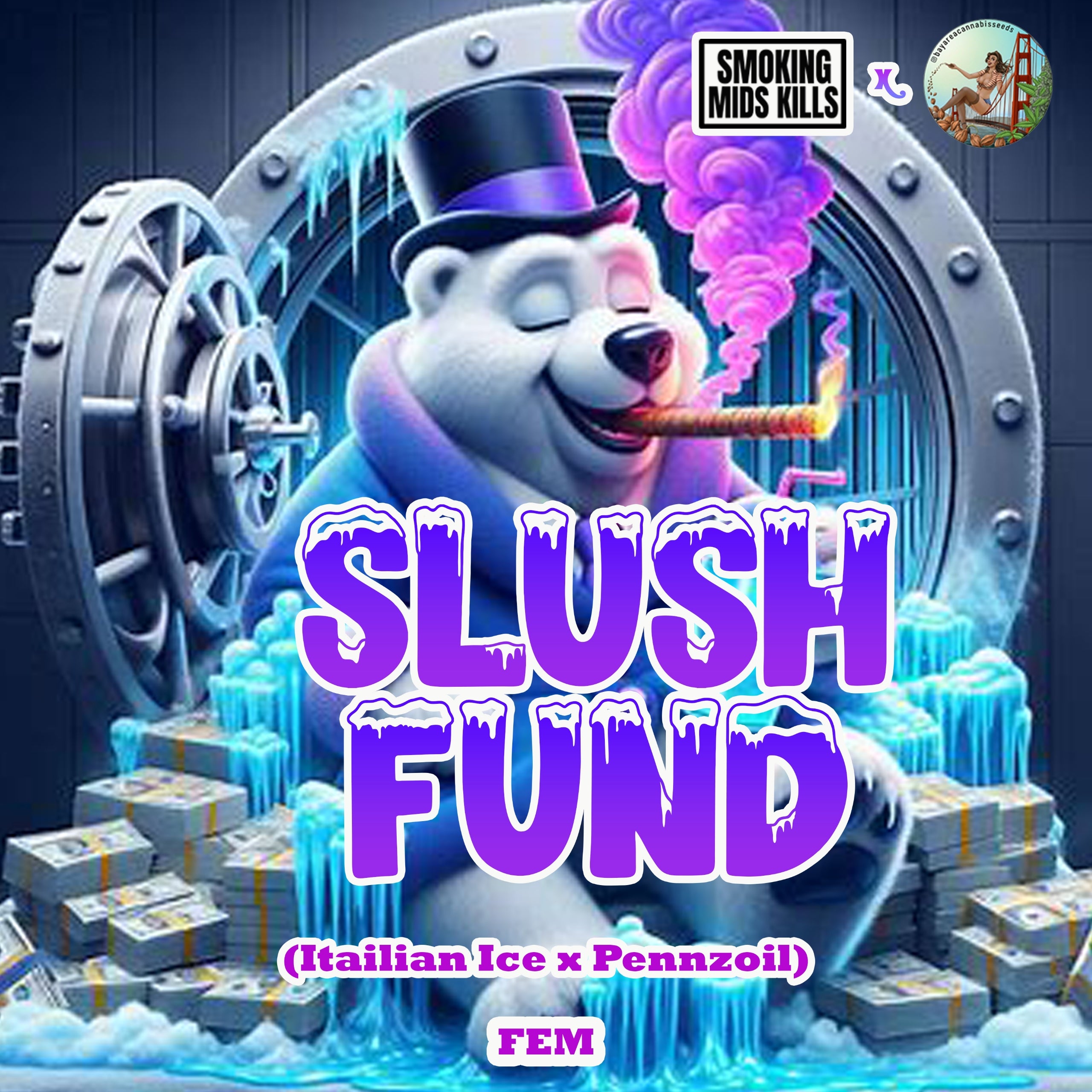 Slush Fund (last pk) – BCS